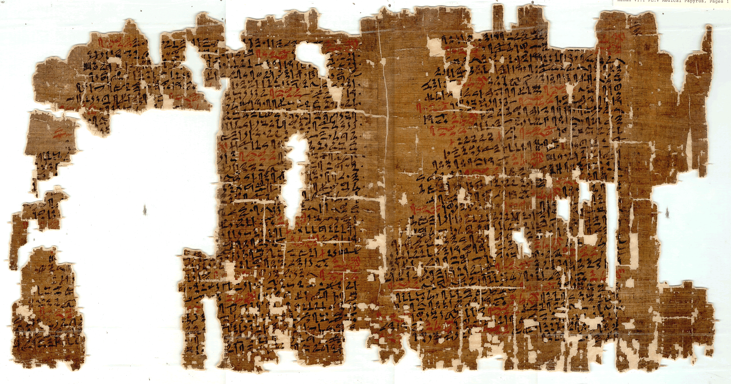 Gynäkologischer Papyrus Kahun — Deutsch