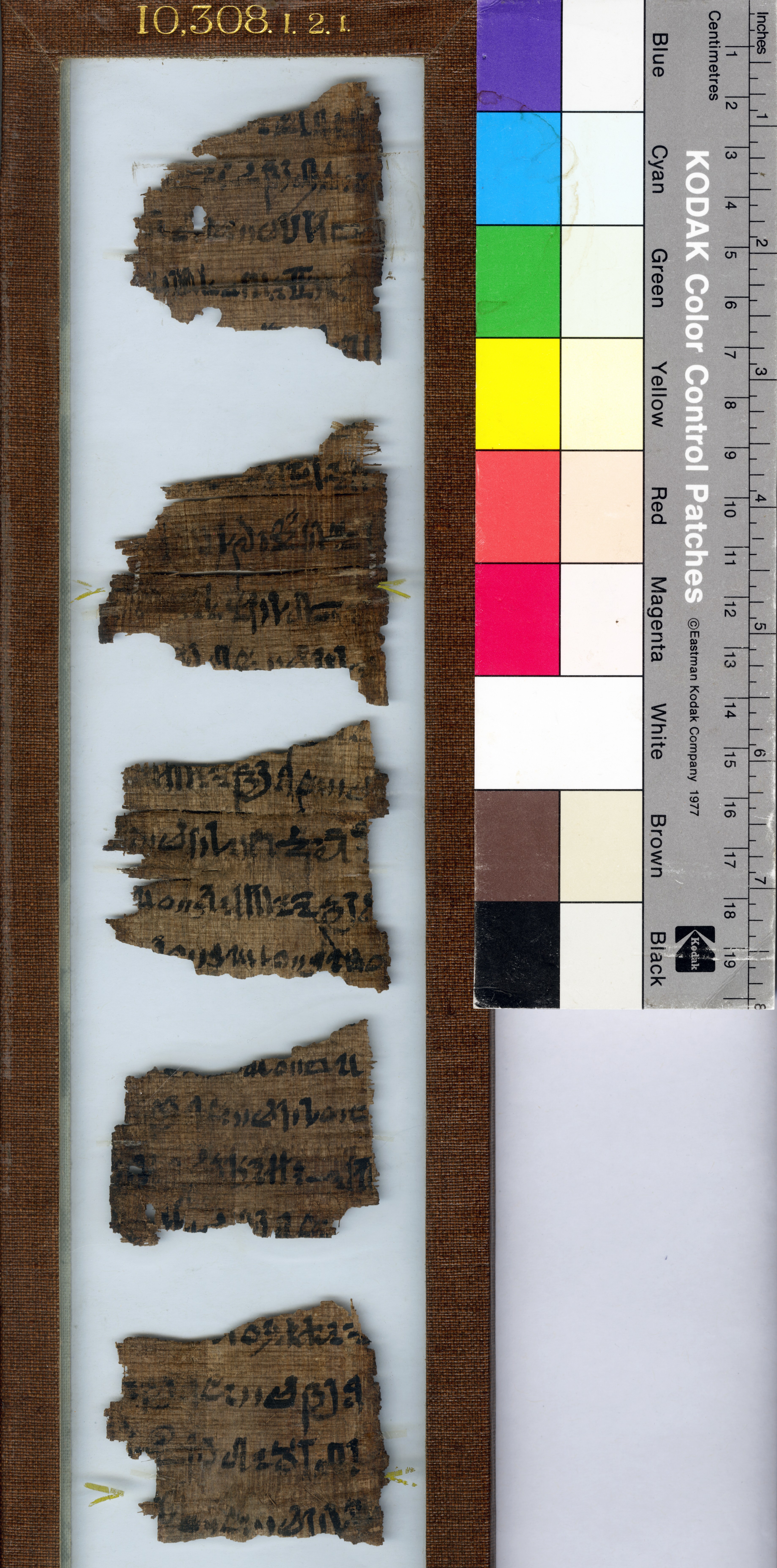 Oracular Amuletic Decree L3 (Papyrus London BM EA 10308) — English