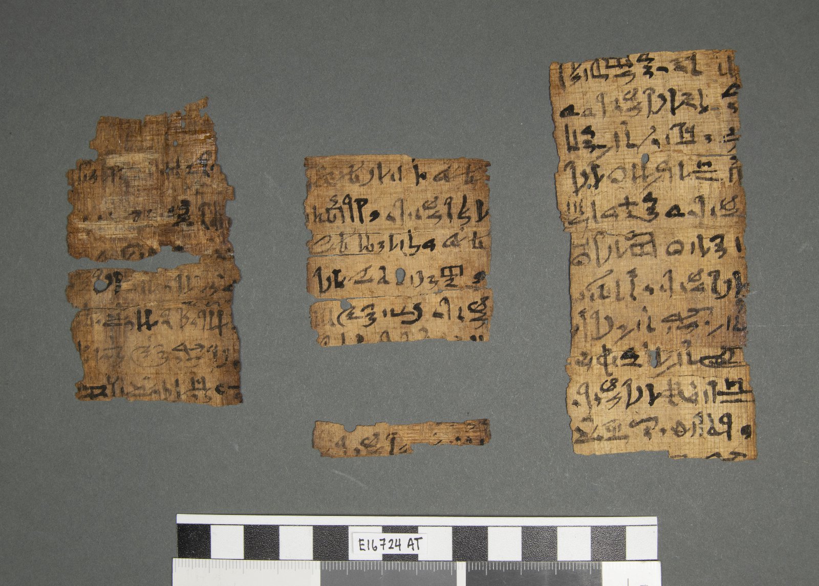 Oracular Amuletic Decree Ph (Papyrus Philadelphia, Penn Museum E16724 ...